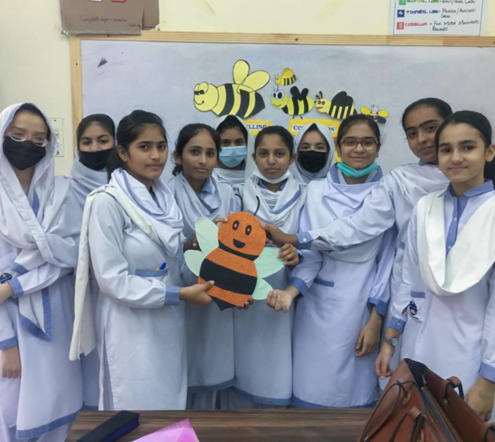 Projects – Dunya Foundation